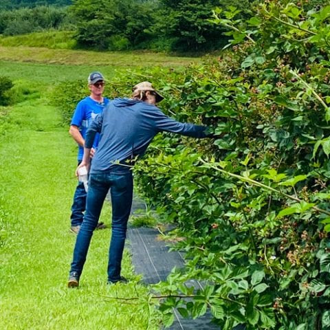 What We Offer | Camp Blue Ridge